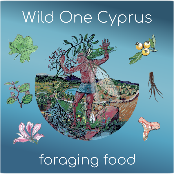 Wild One Cyprus